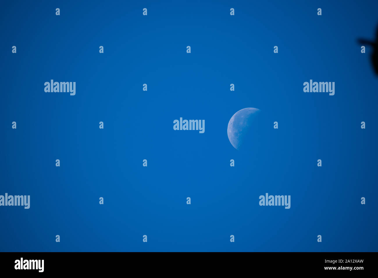 Four seasons and day and night hi-res stock photography and images - Alamy