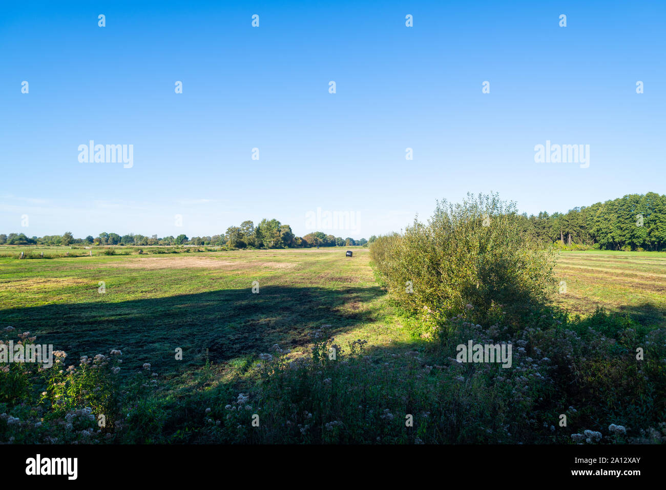 a walk through nature and the fields in the blue sky and bright ...