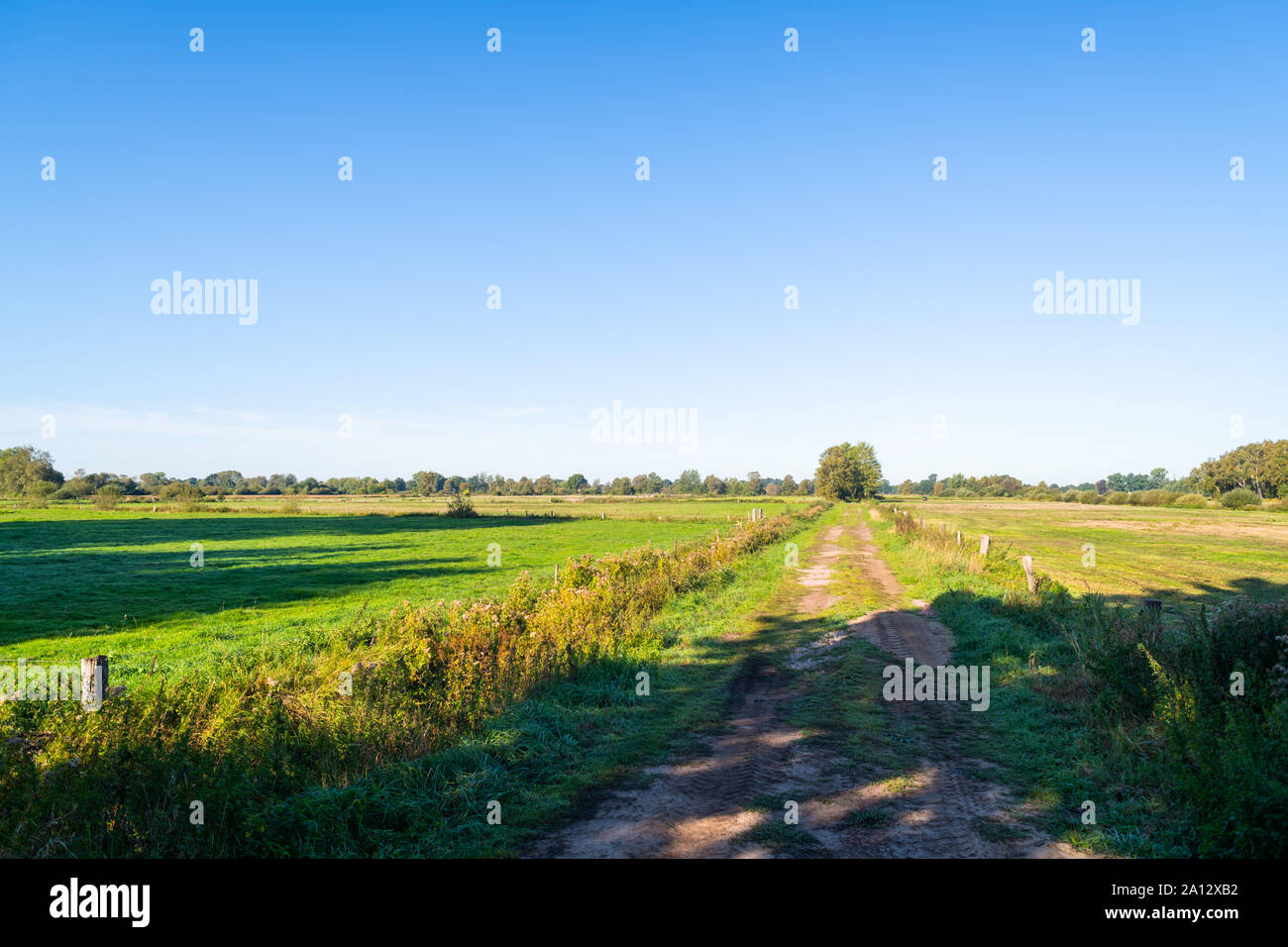 a walk through nature and the fields in the blue sky and bright ...