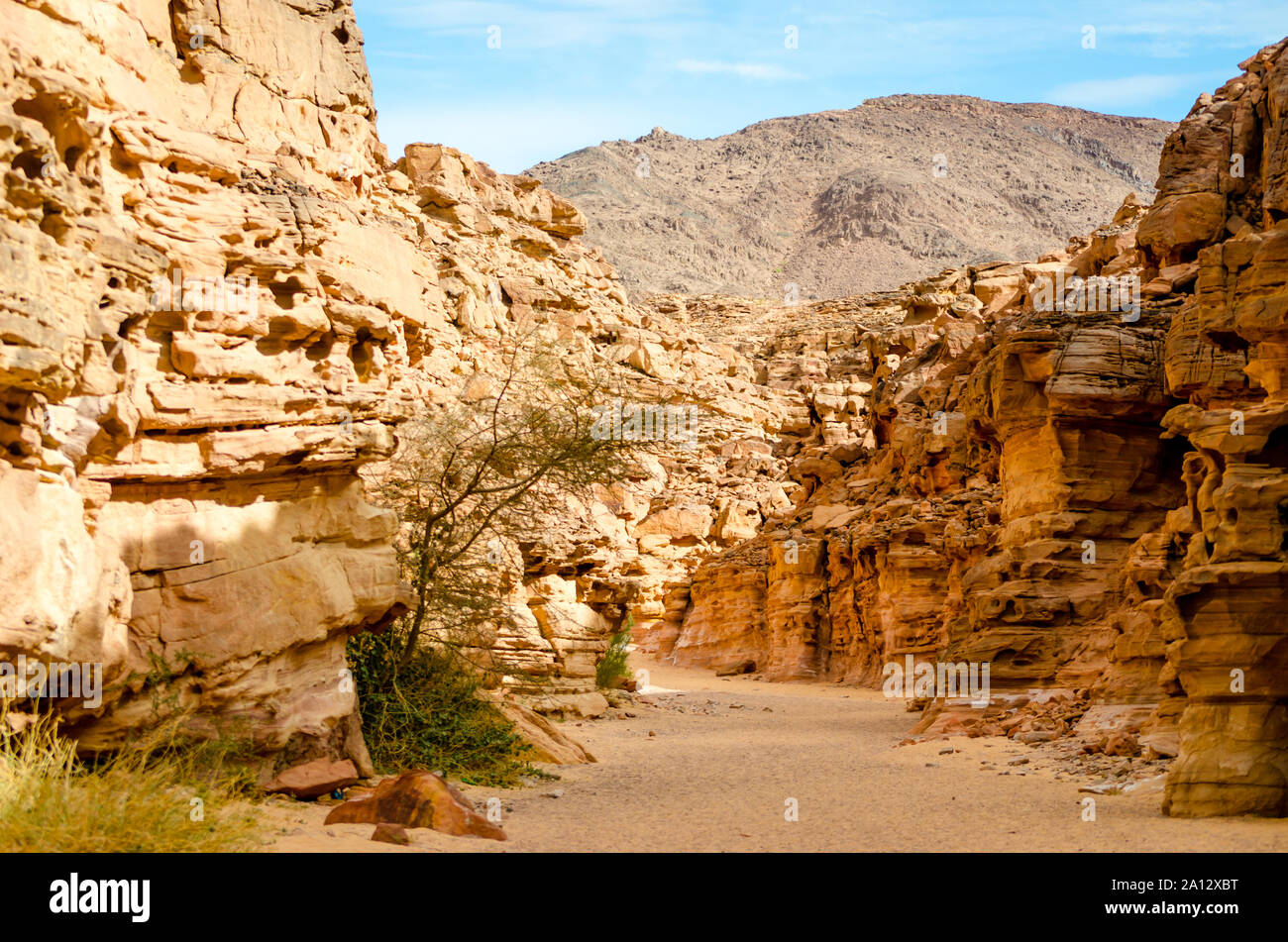Gorge in sinai mountains egypt hi-res stock photography and images - Alamy