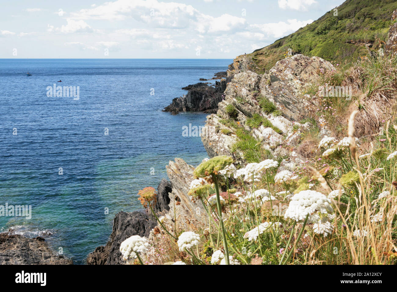 Cornish coast West from Peak Rock, Polperro: Chapel Cliff and Butts ...