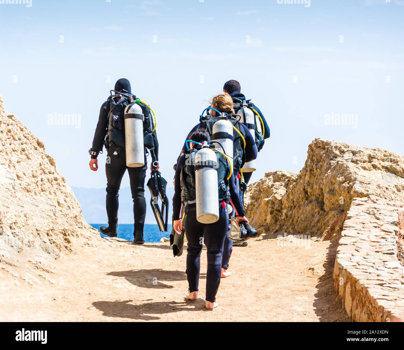 Sky divers group hi-res stock photography and images - Alamy