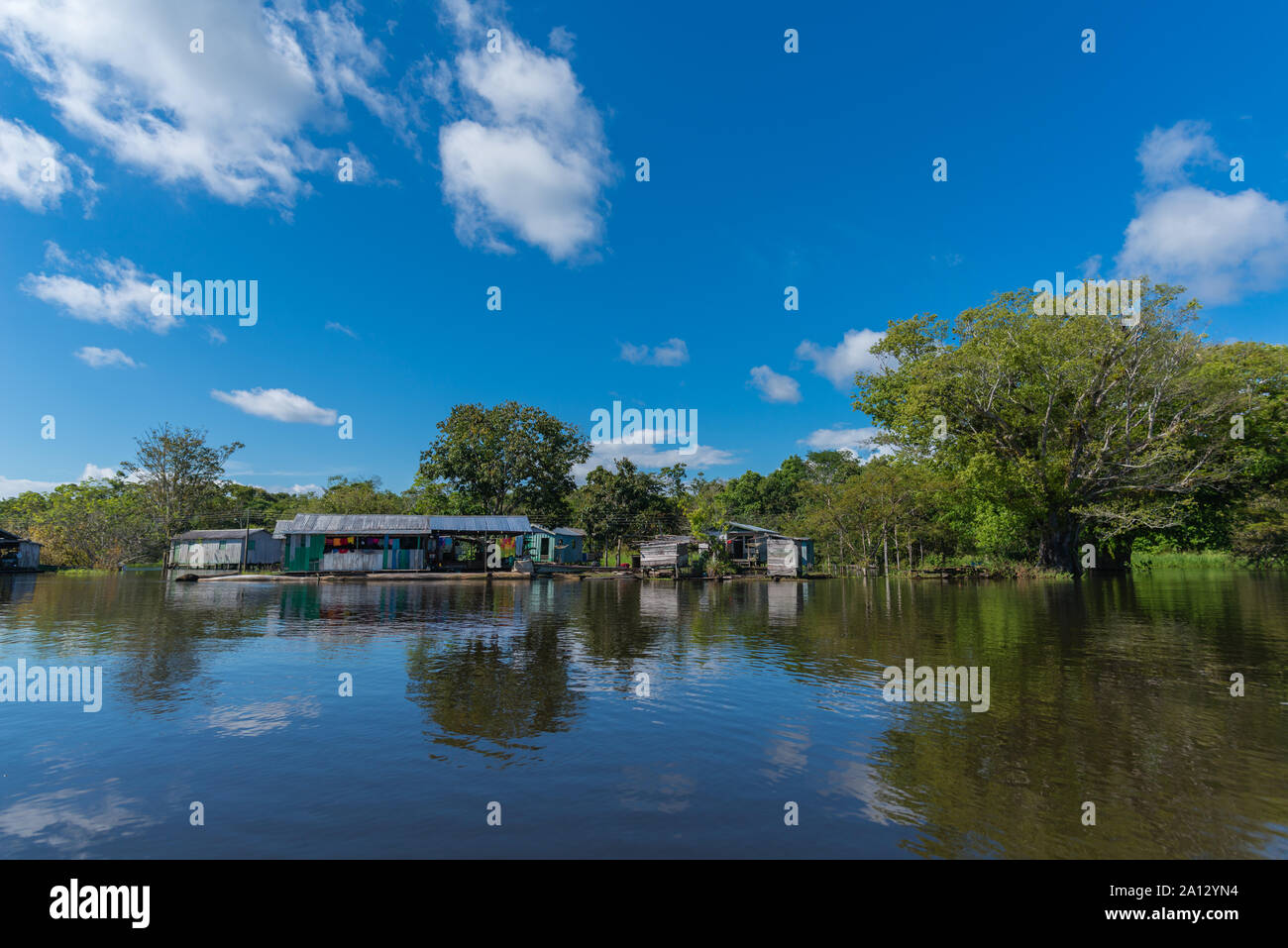 Brazilian rainforest at end of rainy season in May, Mamirauá ...