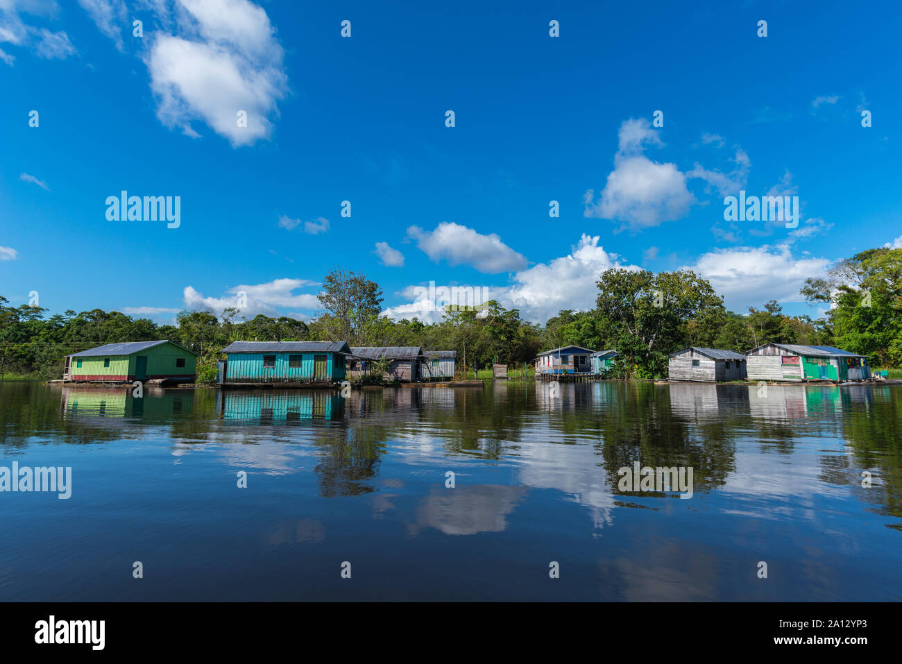 Brazilian rainforest at end of rainy season in May, Mamirauá ...