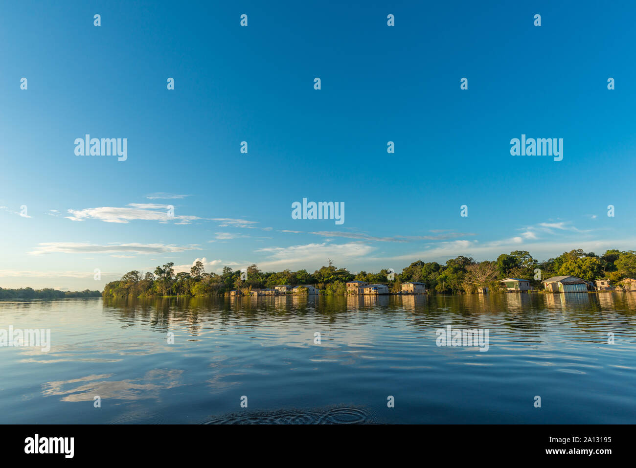 Brazilian rainforest at end of rainy season in May, Mamirauá ...
