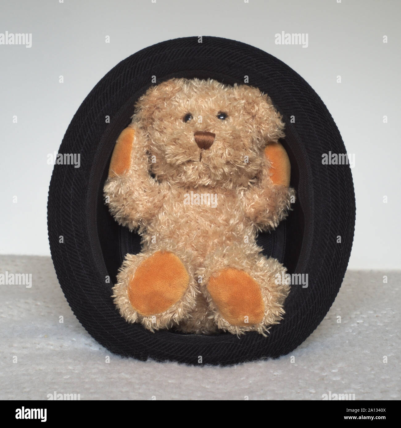 Cute teddy bear inside hi-res stock photography and images - Alamy