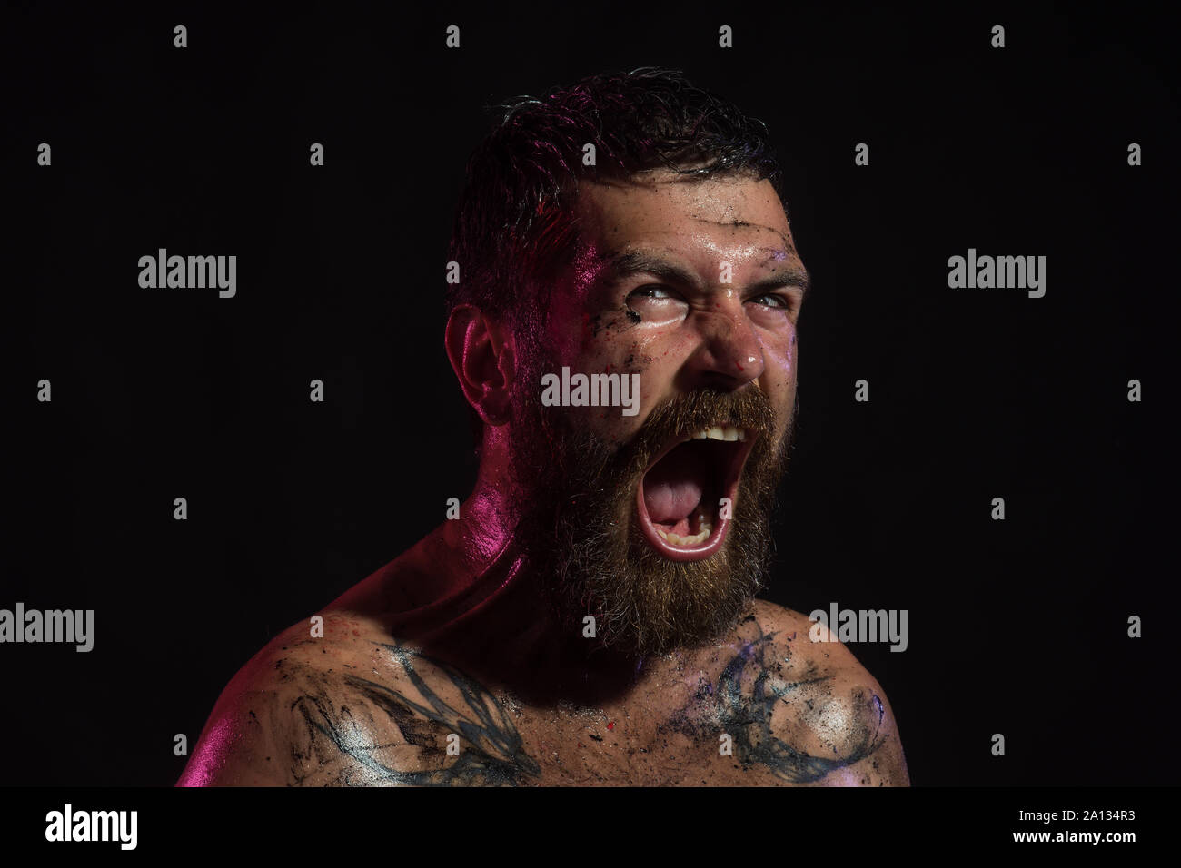 Bearded vampire hi-res stock photography and images - Alamy