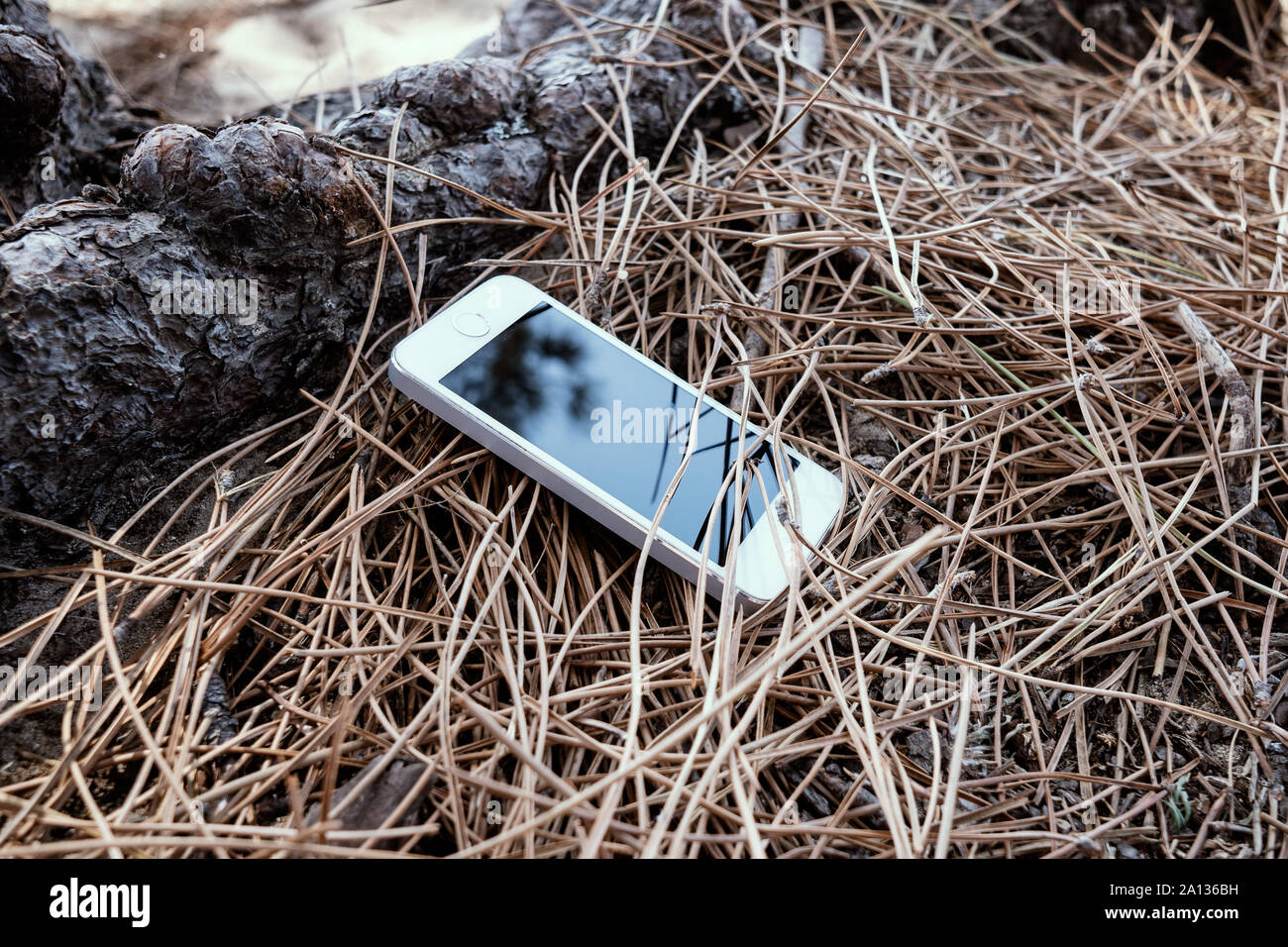 Smart phone lost in the forest. Forgotten device concept Stock Photo ...