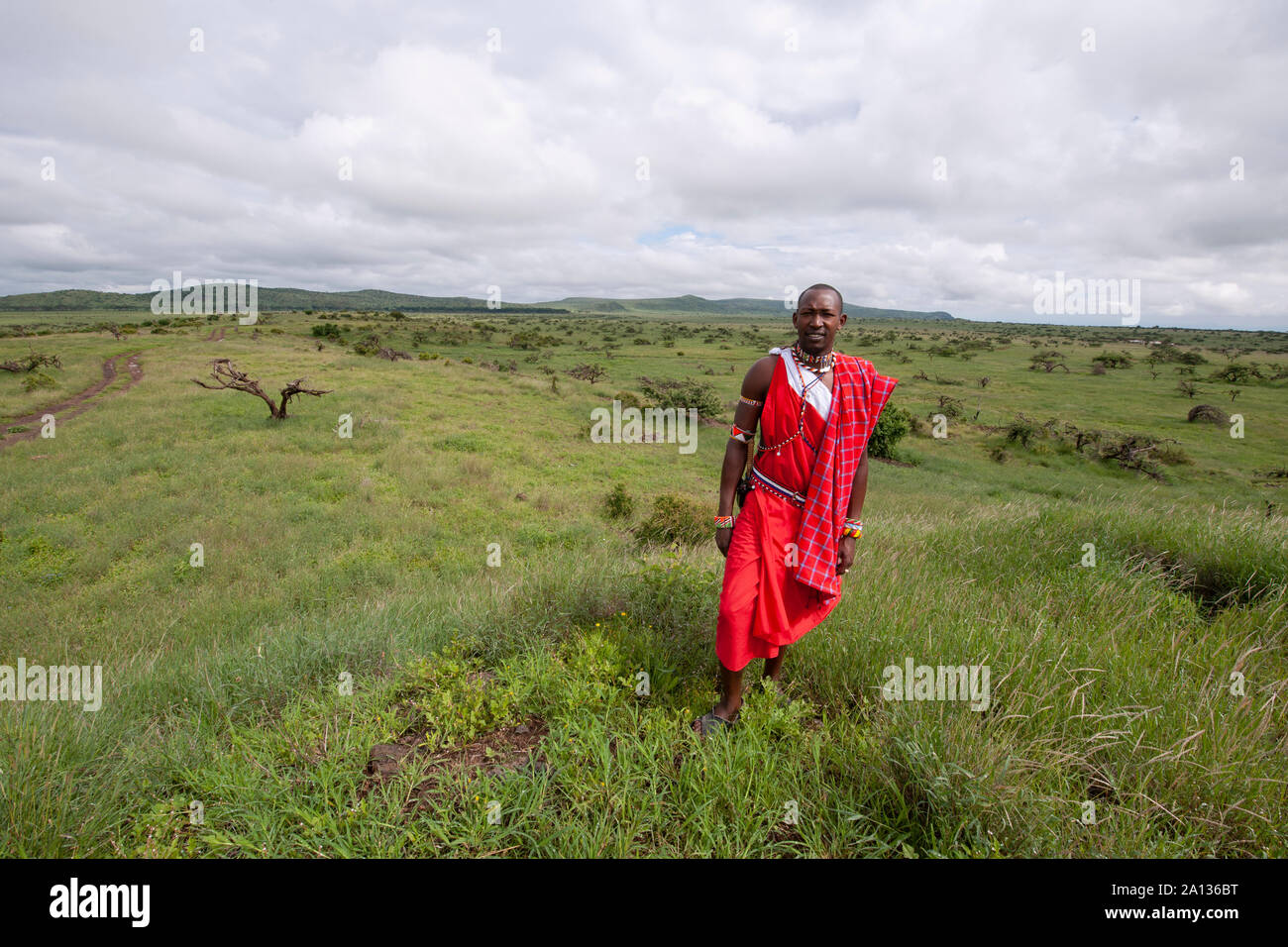 MASAI GUIDE WILLIAM KIPSOI ON PART OF THE STUNNING 62,000 ACRE LEWA ...