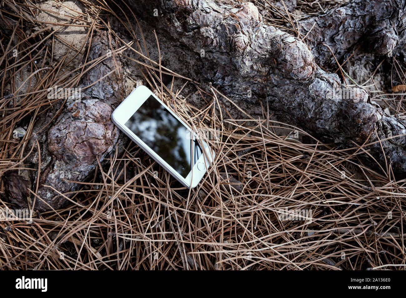 Smart phone lost in the forest. Forgotten device concept Stock Photo ...