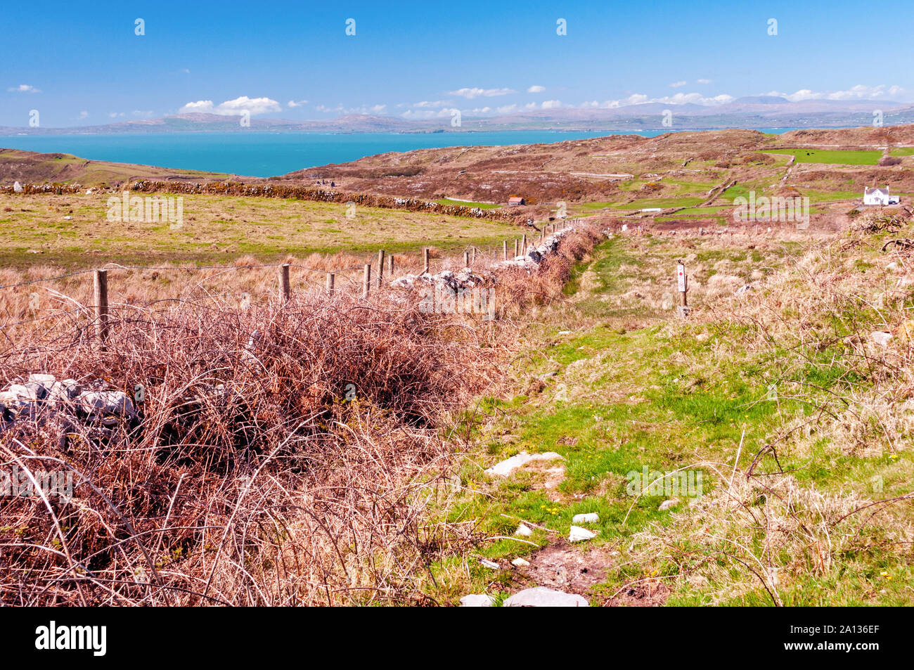 Cape clear island ireland hi-res stock photography and images - Alamy