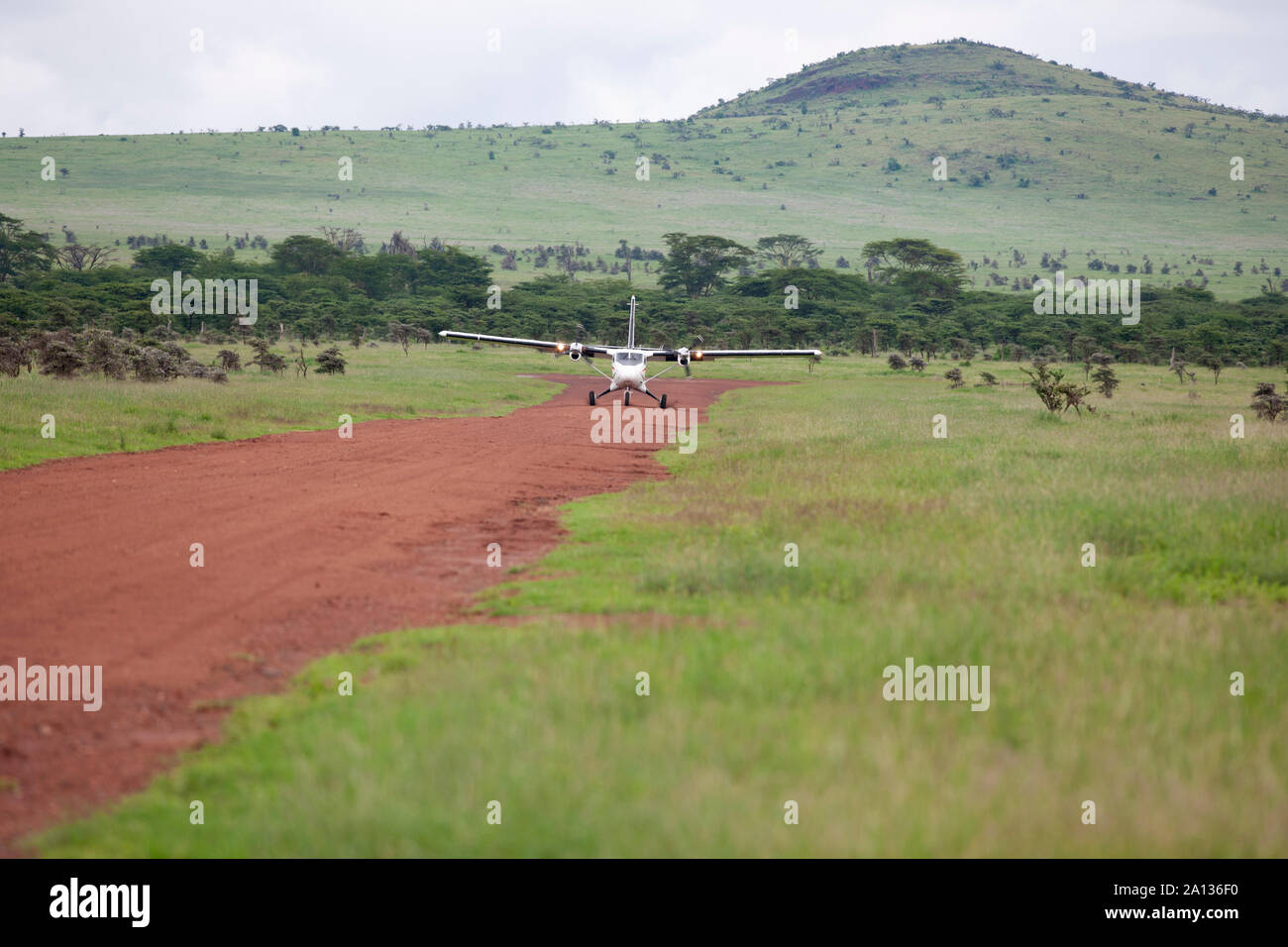 Lewa wildlife conservancy kenya hi-res stock photography and images - Alamy