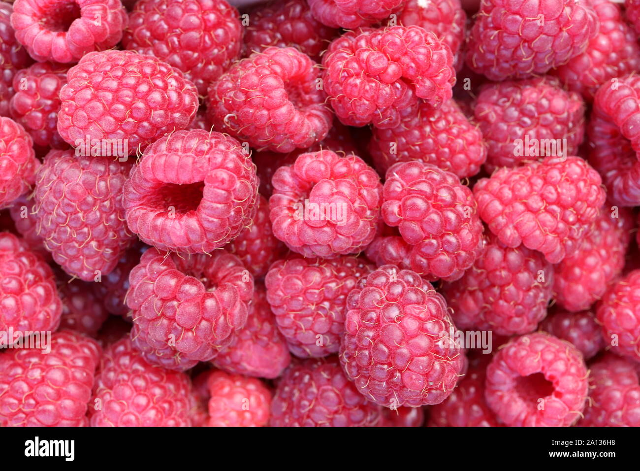 Texture raspberry hi-res stock photography and images - Alamy