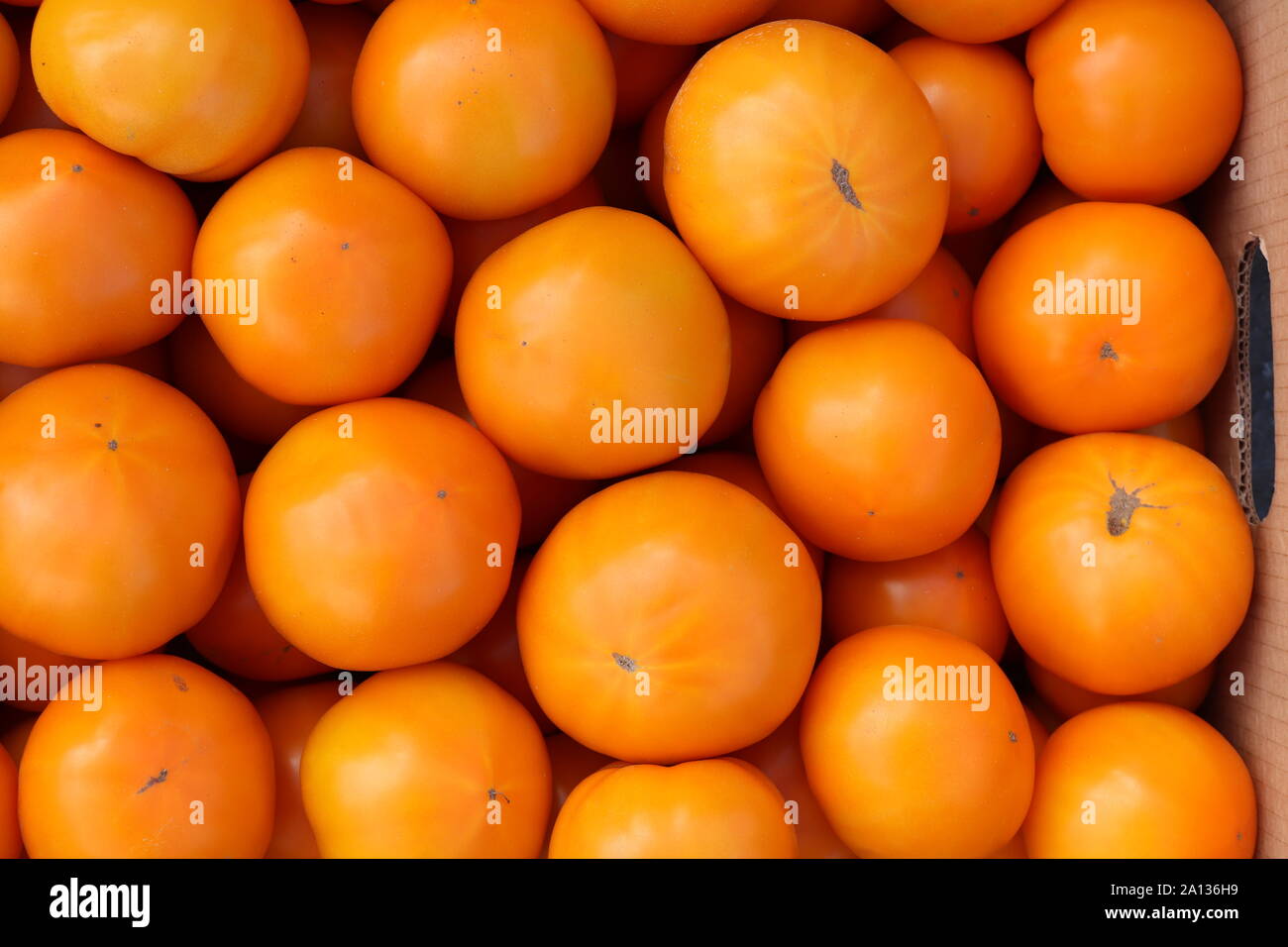 Orange filling texture. Freshness oranges background Stock Photo - Alamy