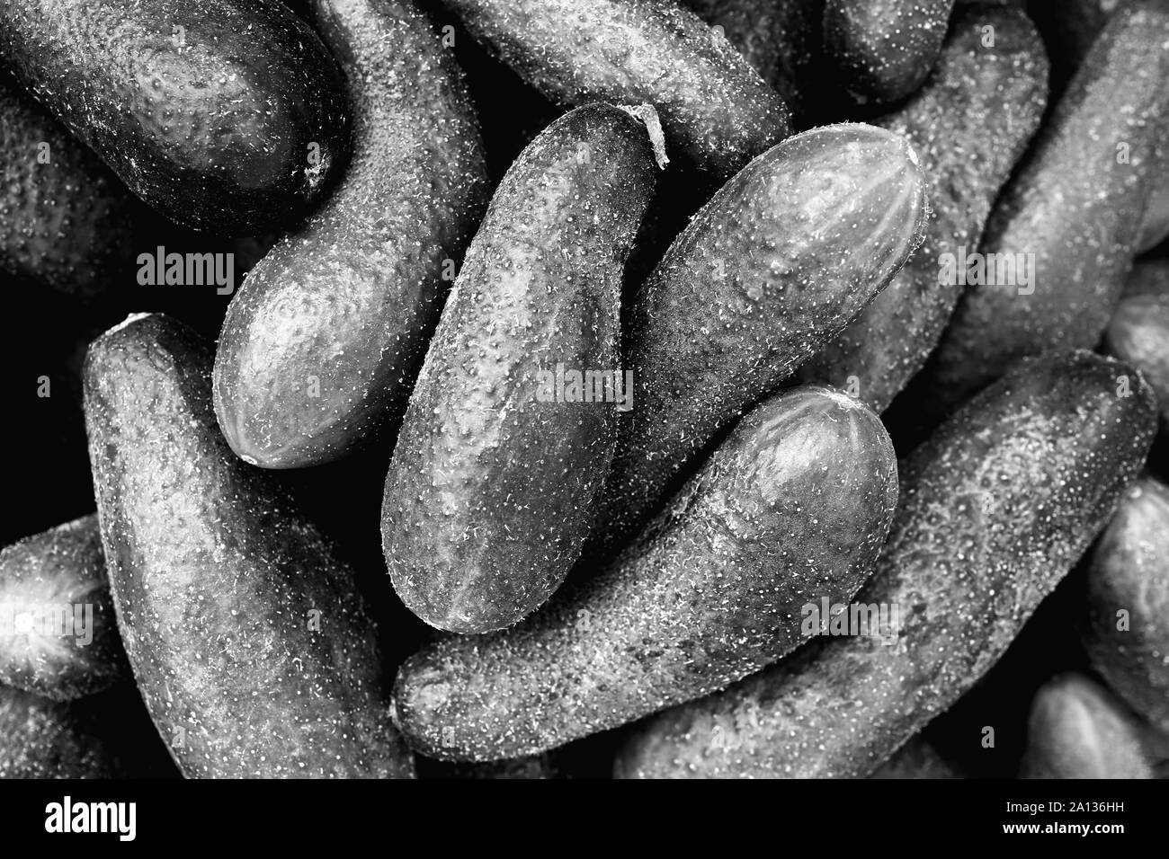 Cucumbers texture hi-res stock photography and images - Alamy