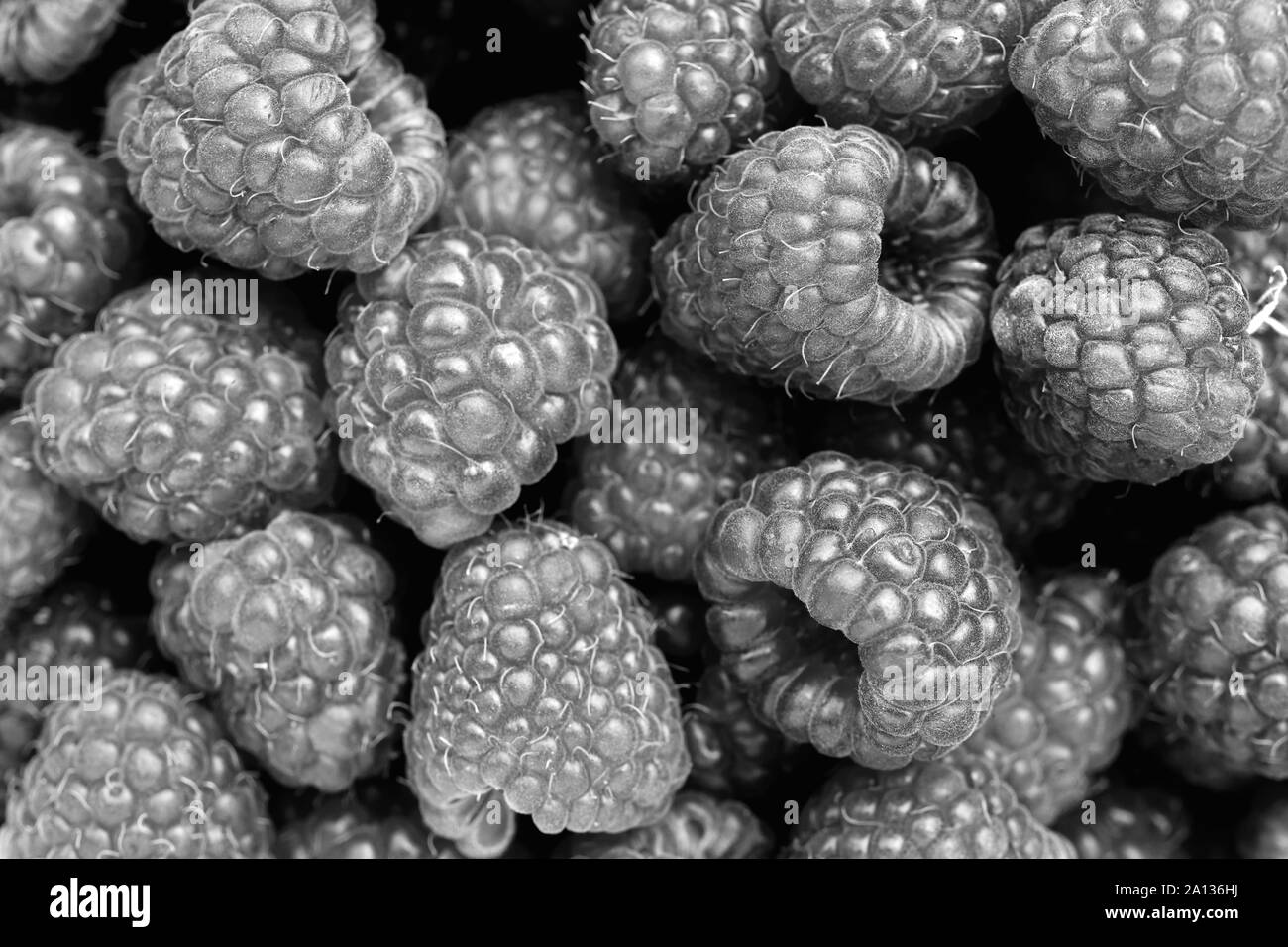 Nice surface Black and White Stock Photos & Images - Alamy