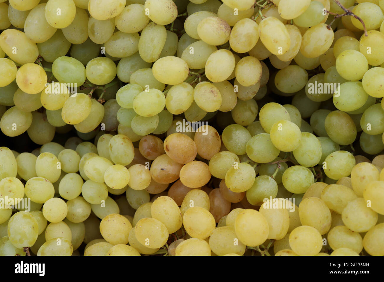 Grape texture hi-res stock photography and images - Alamy
