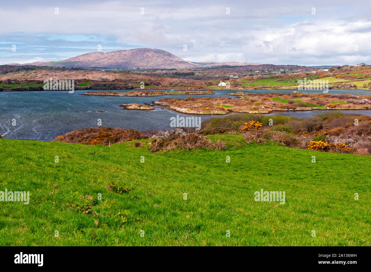 West county cork hi-res stock photography and images - Alamy