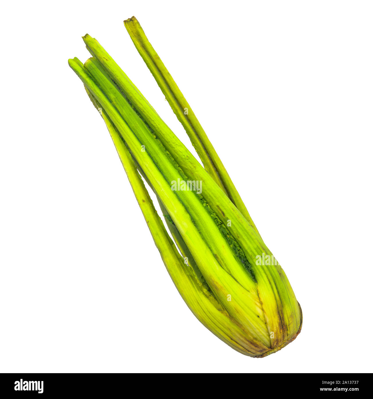 Celery close-up 3d rendering with realistic texture isolated on white ...