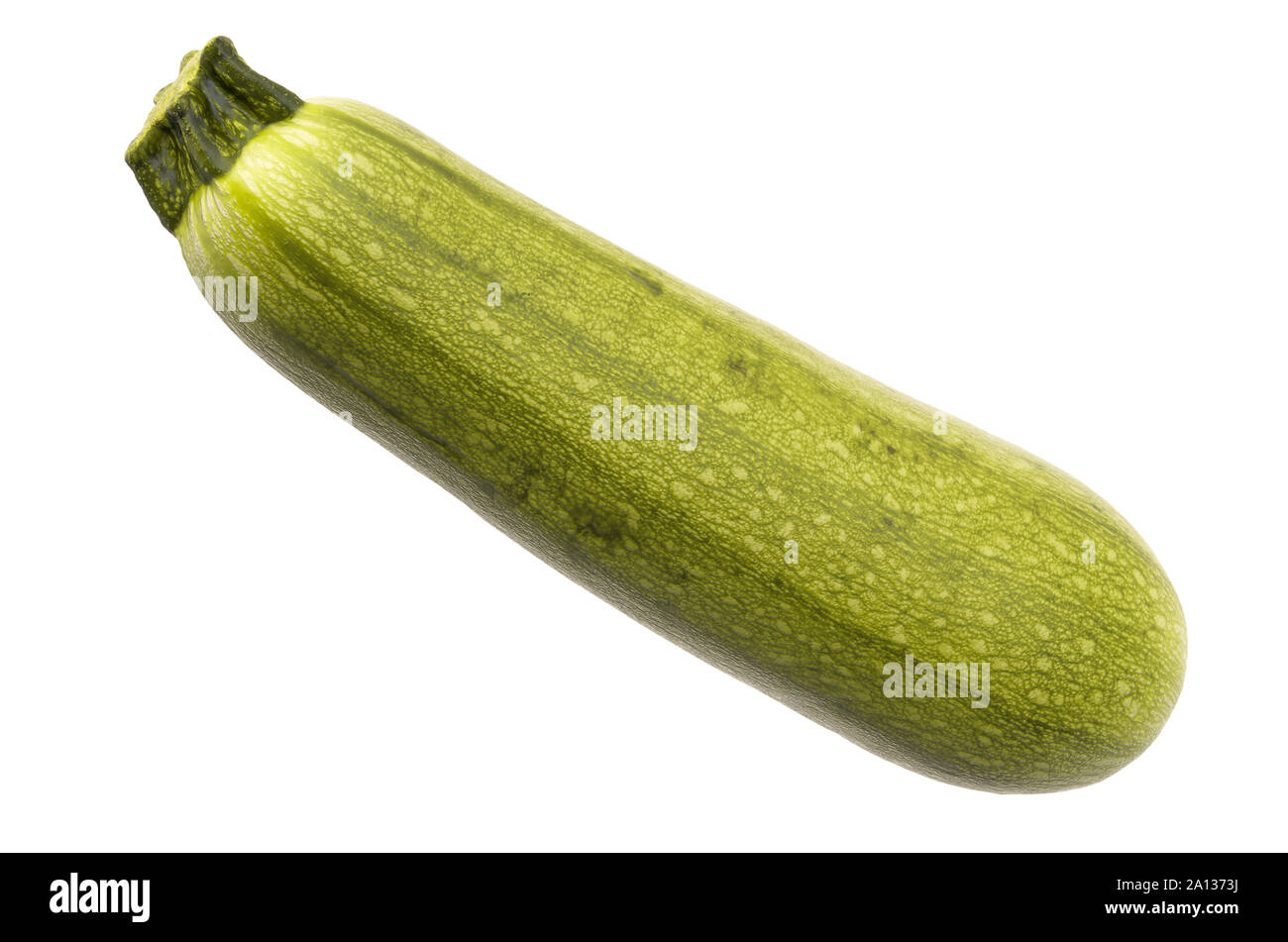 Courgette or zucchini close-up 3d rendering with realistic texture ...