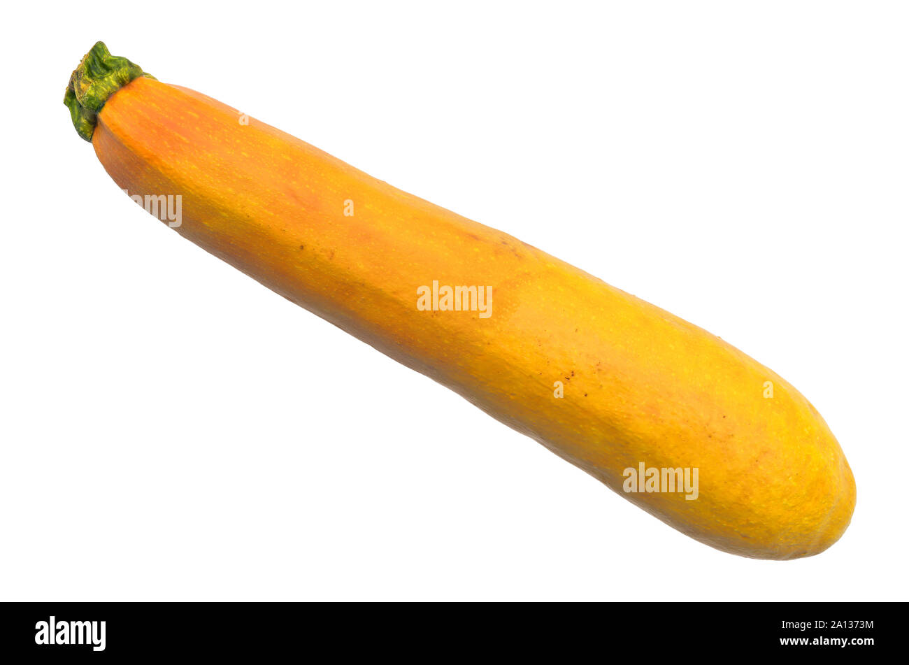 Golden zucchini close-up 3d rendering with realistic texture isolated ...