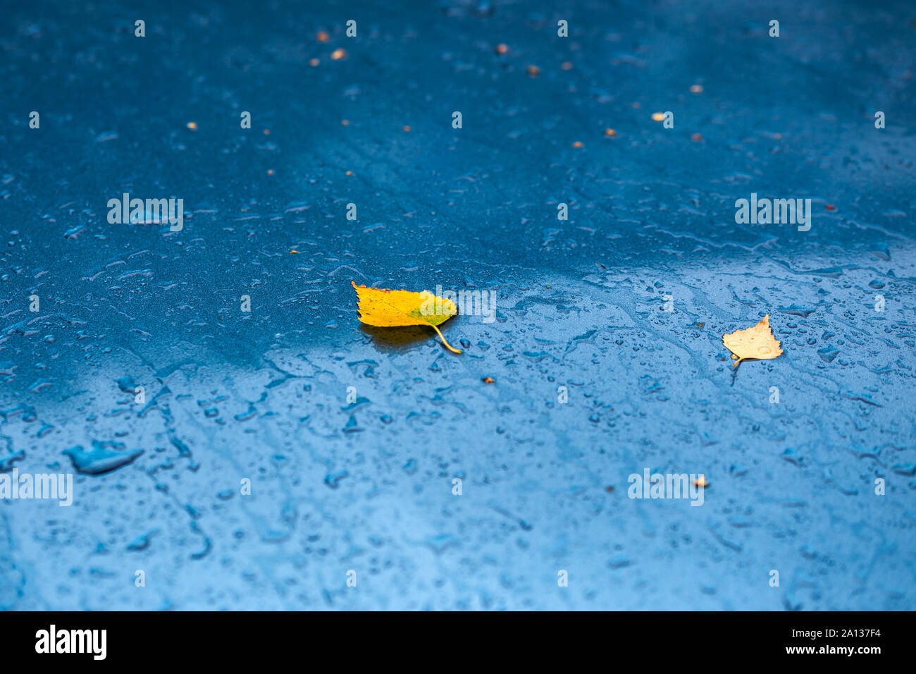 Wet lens texture hi-res stock photography and images - Alamy