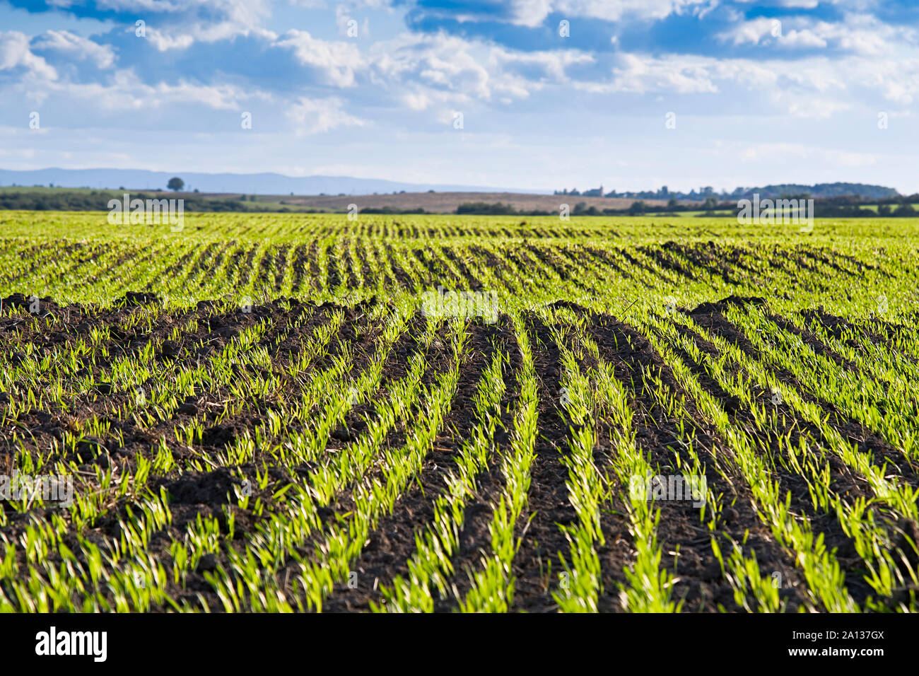 landscape with agricultural fields, farming background Stock Photo - Alamy