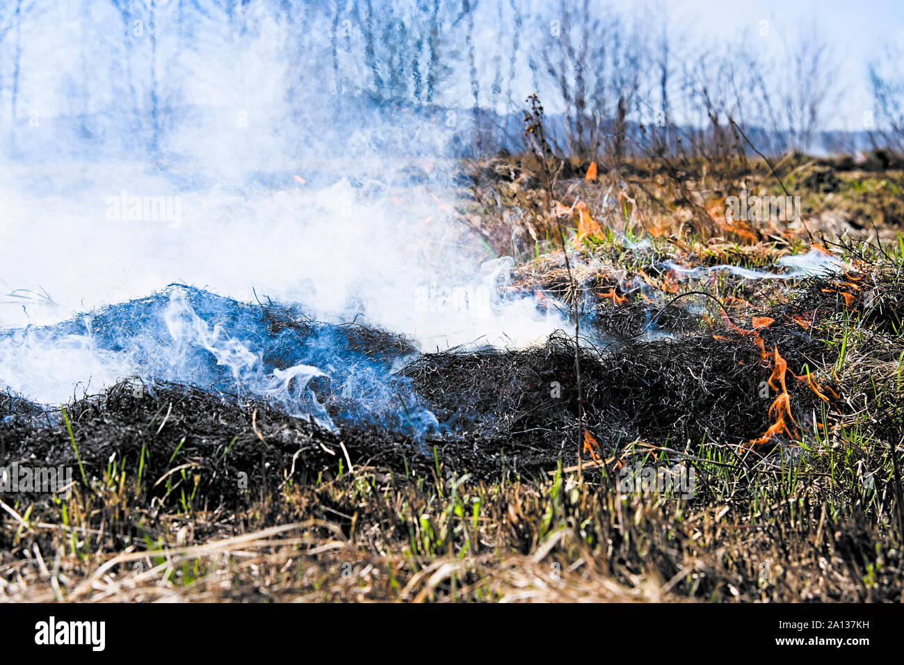 Fire danger season hi-res stock photography and images - Alamy
