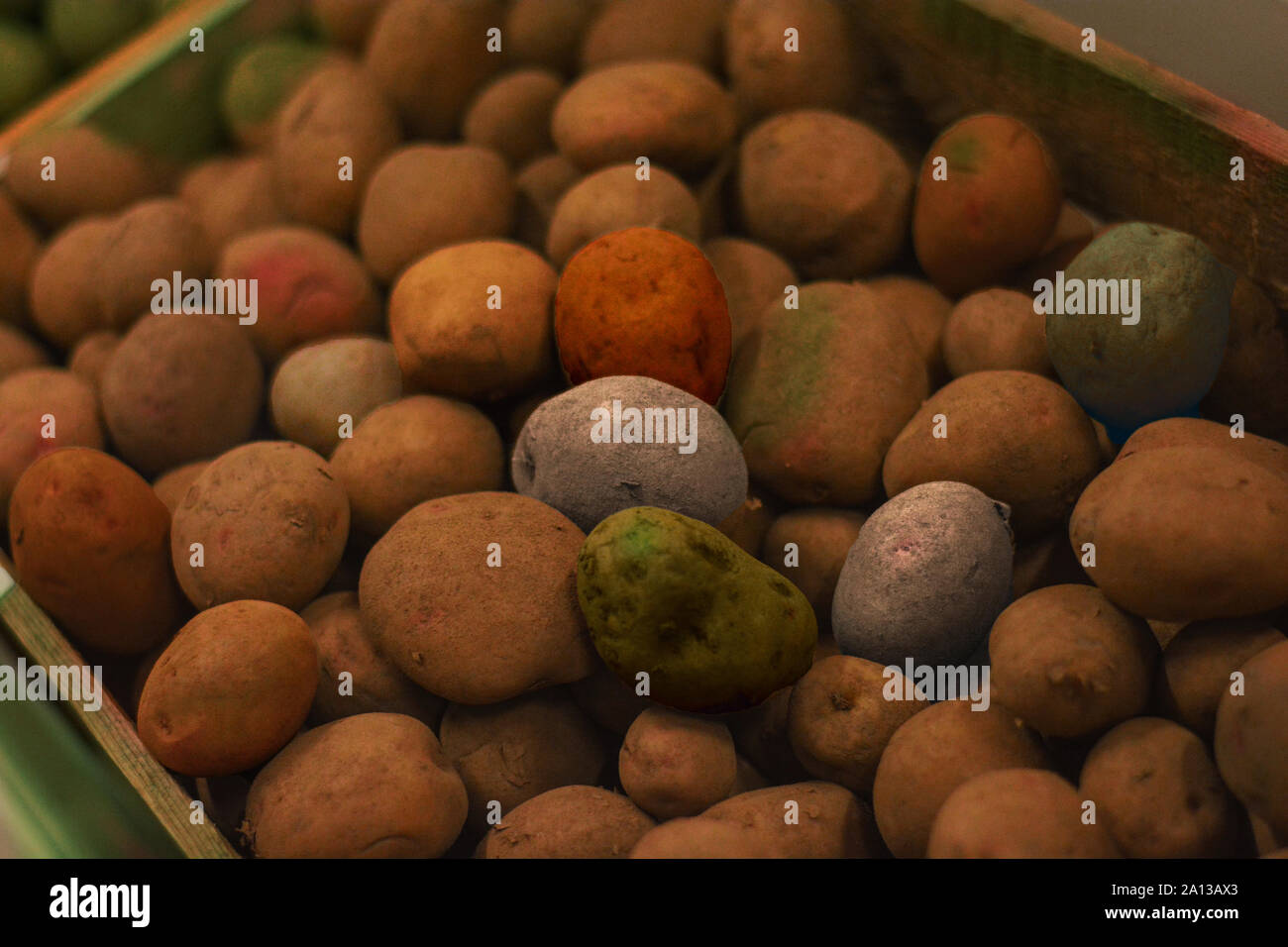 Potatoe selection hi-res stock photography and images - Alamy