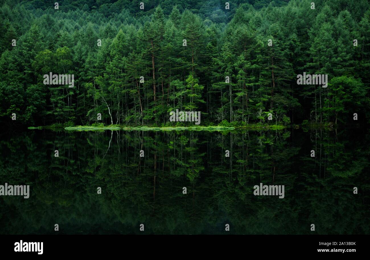 Mishakapond hi-res stock photography and images - Alamy