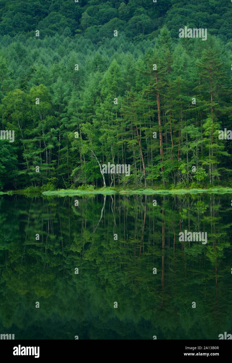 Mishakapond hi-res stock photography and images - Alamy