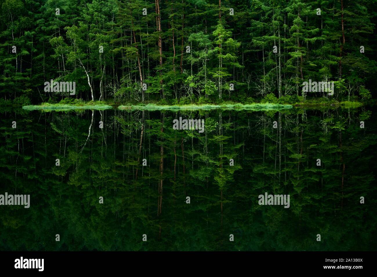 Mishakapond hi-res stock photography and images - Alamy