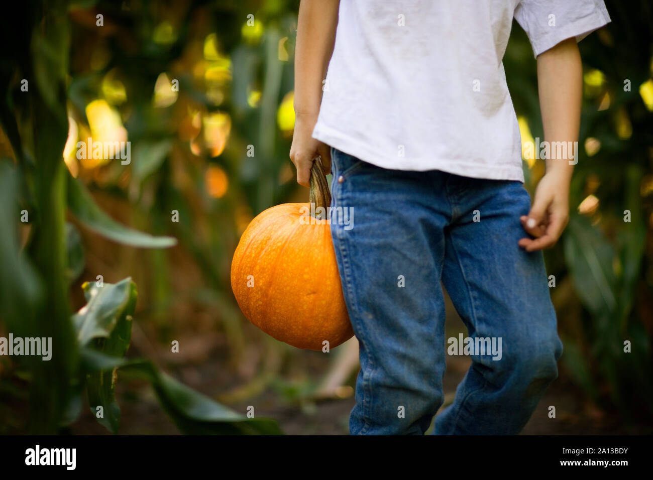 Child carry pumpkin hi-res stock photography and images - Alamy
