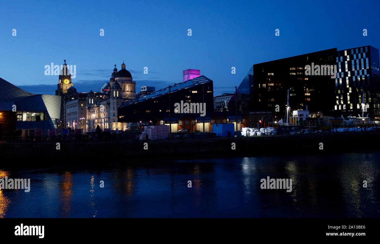 Liver and lights hi-res stock photography and images - Alamy