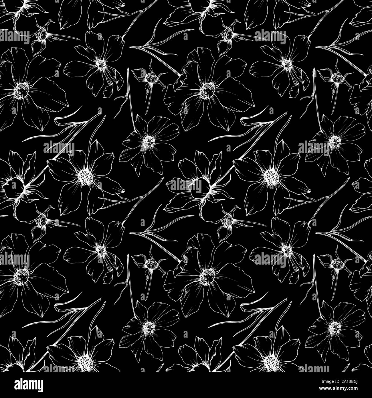 Cosmos cosmea Black and White Stock Photos & Images - Alamy