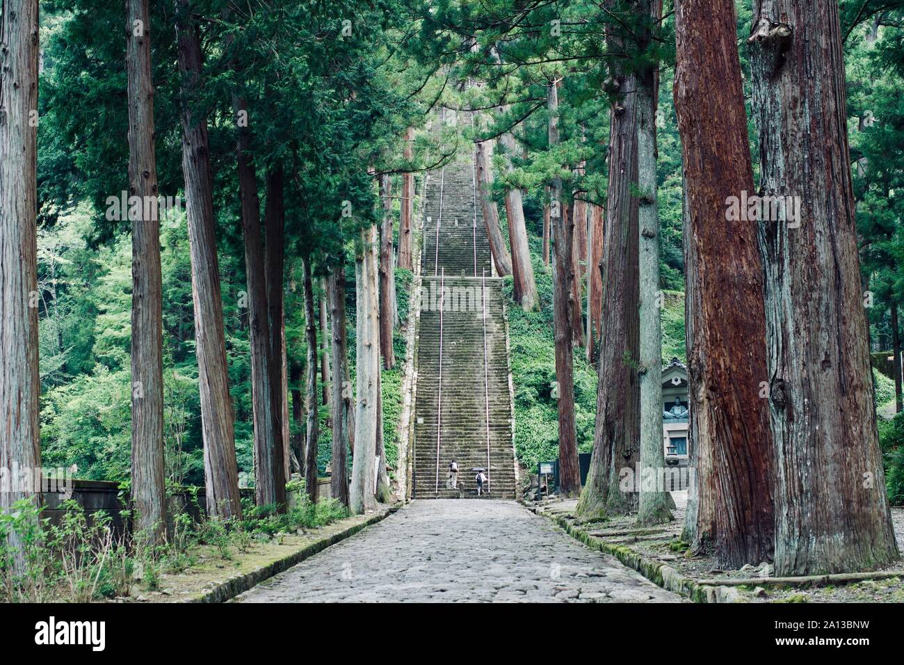 Training temple hi-res stock photography and images - Alamy