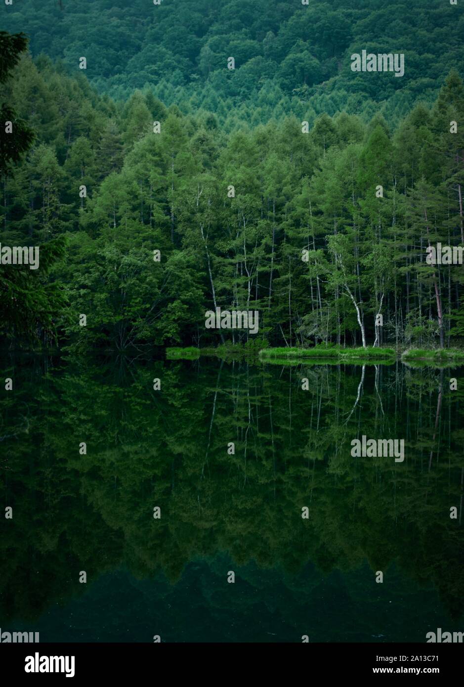 Mishakapond hi-res stock photography and images - Alamy