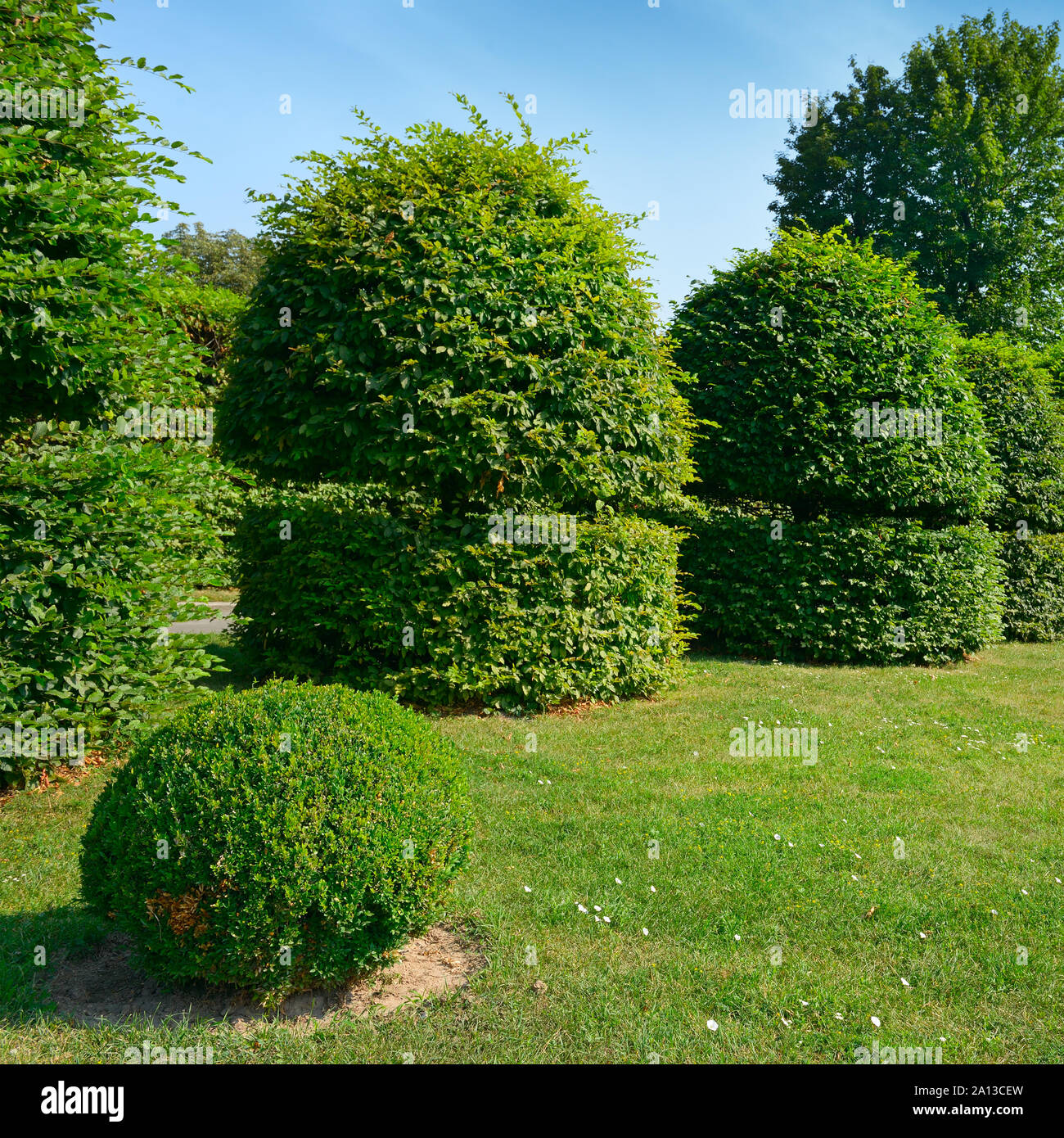 Ornamental hedges hi-res stock photography and images - Alamy