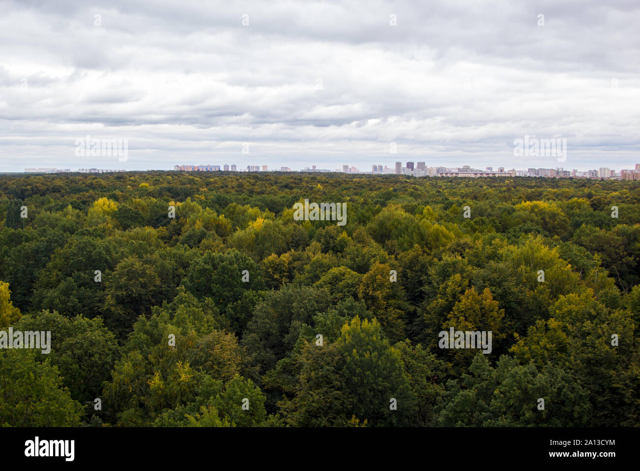 Aerial view from behind trees hi-res stock photography and images - Alamy