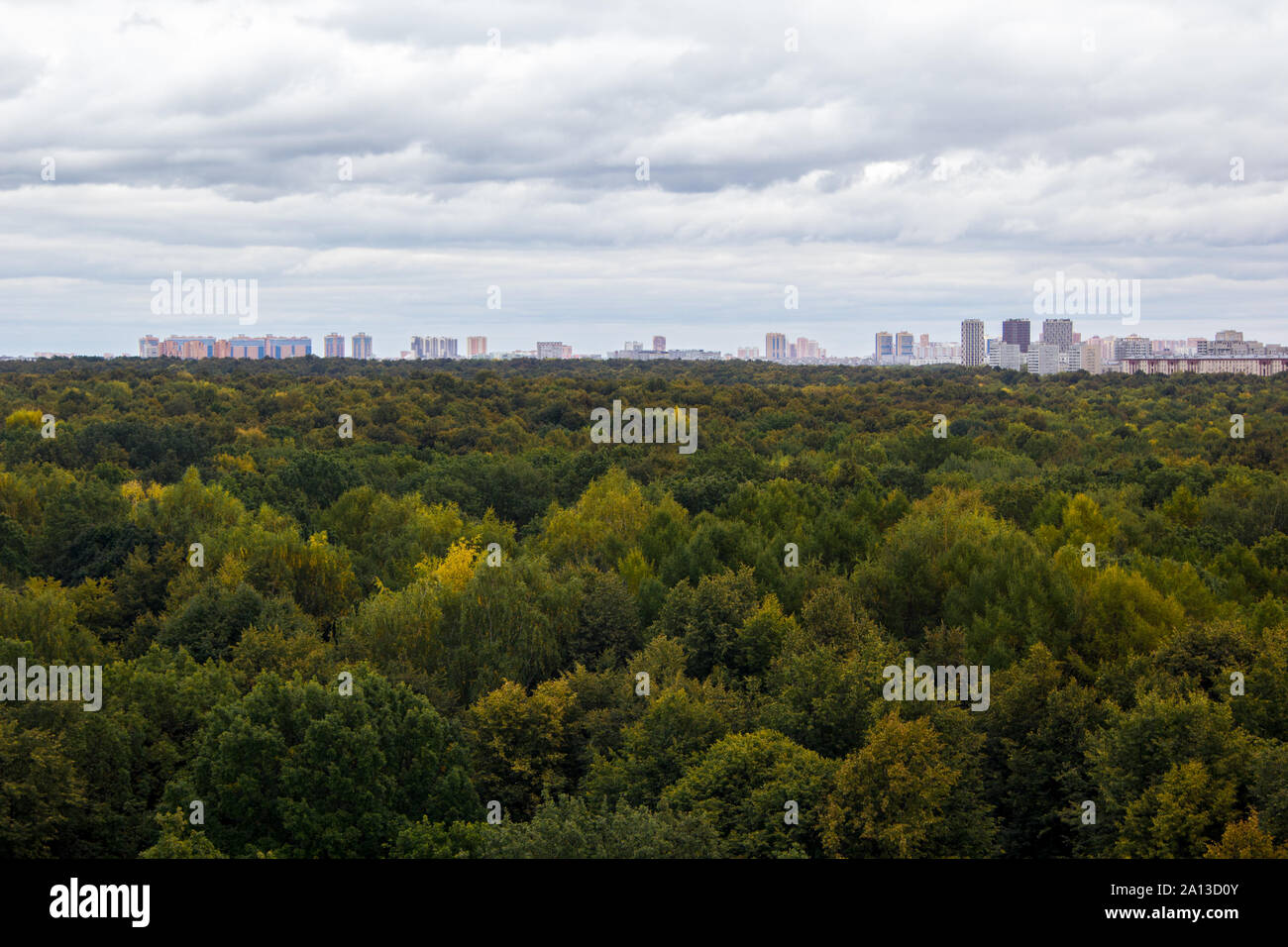 Aerial view from behind trees hi-res stock photography and images - Alamy