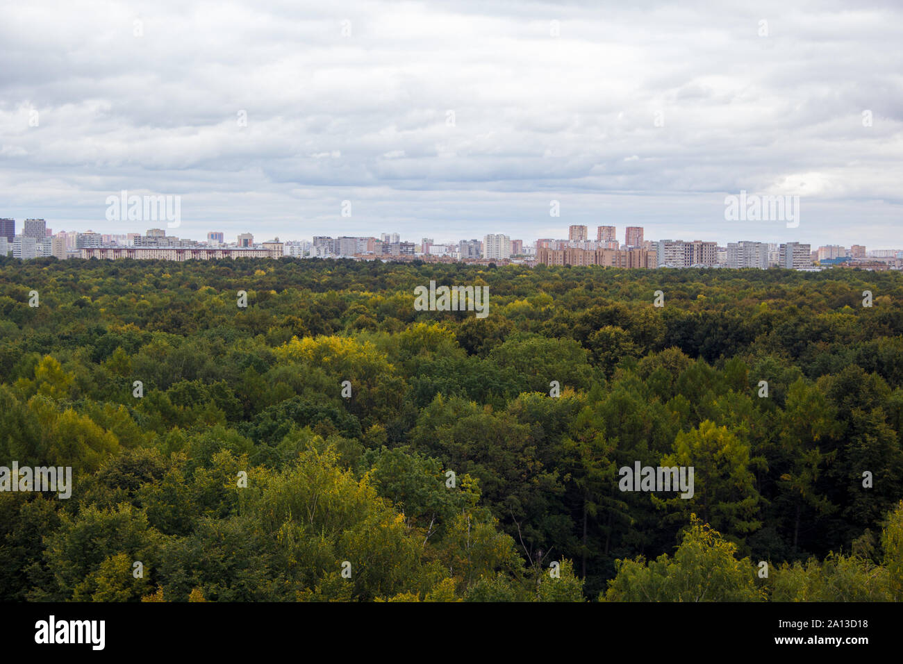 Aerial view from behind trees hi-res stock photography and images - Alamy