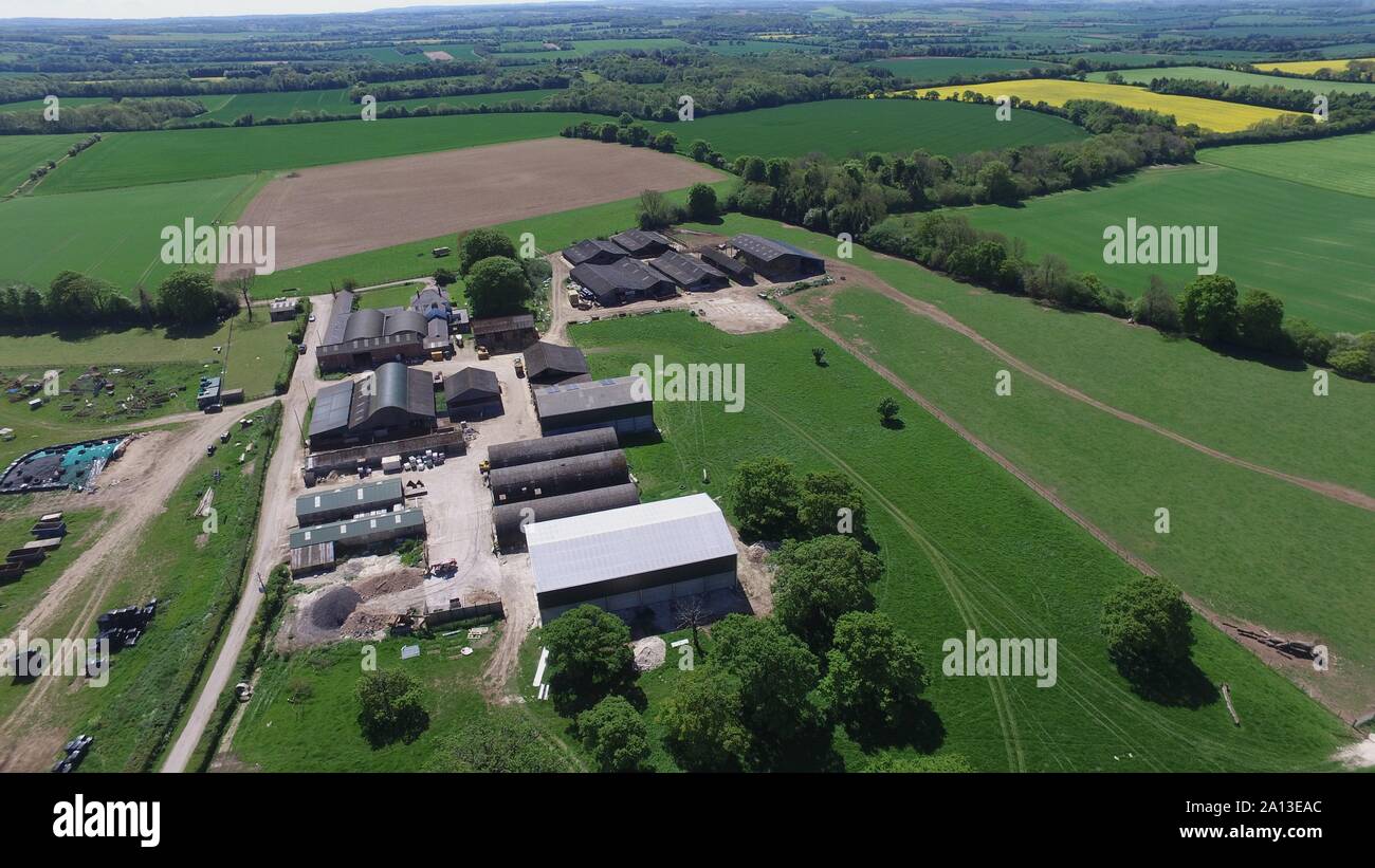 Farming estate beef cow Stock Photo - Alamy
