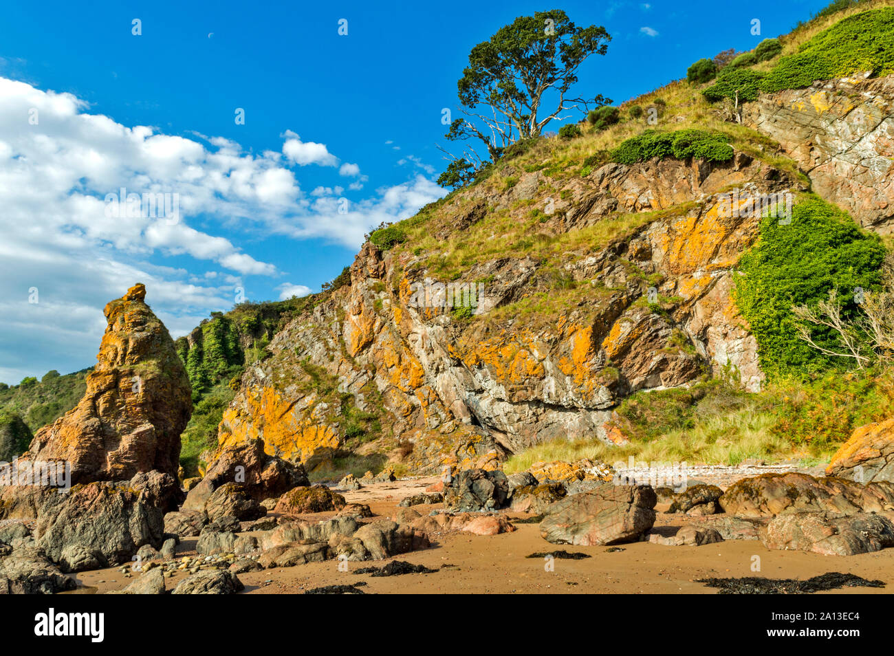 ROSEMARKIE TO CROMARTY WALK BLACK ISLE SCOTLAND YELLOW LICHEN CLAD SEA ...