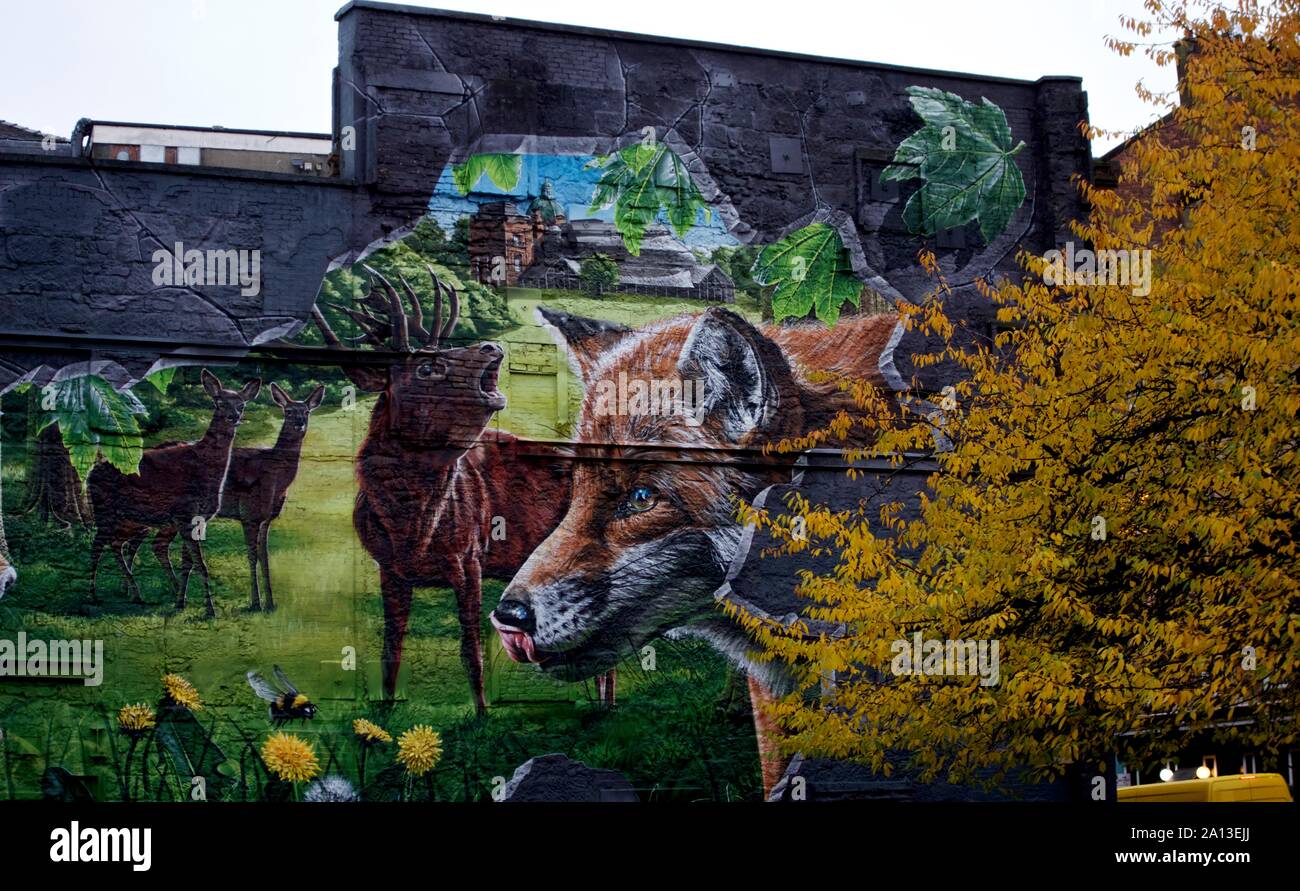 Wildlife mural, Glasgow Stock Photo - Alamy