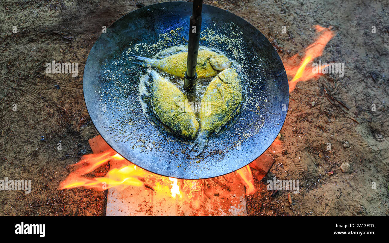Fried fish prepared on metallic disk as grilling food. Camping food ...
