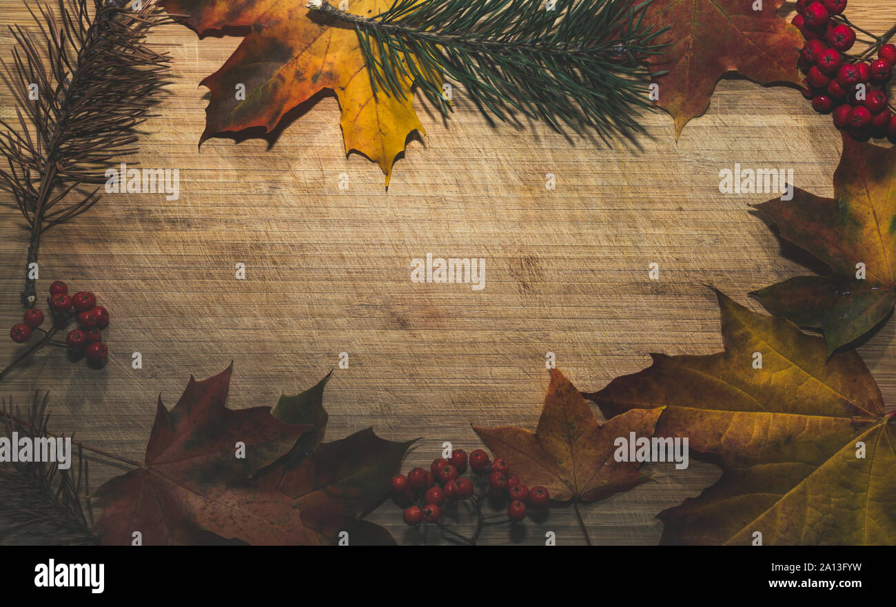 autumn background with colored leaves on wooden board Stock Photo - Alamy