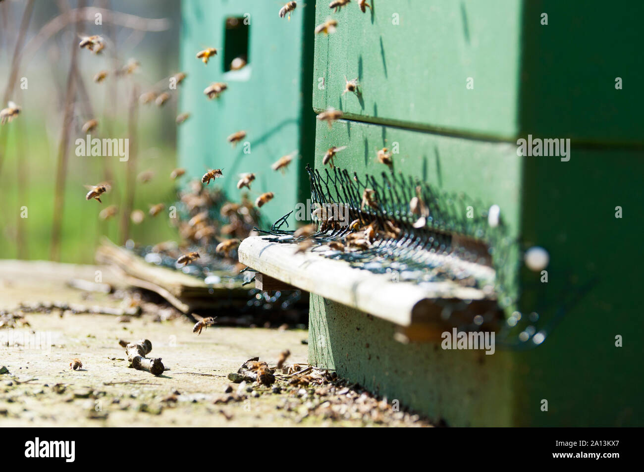 Beehive apiary hi-res stock photography and images - Alamy