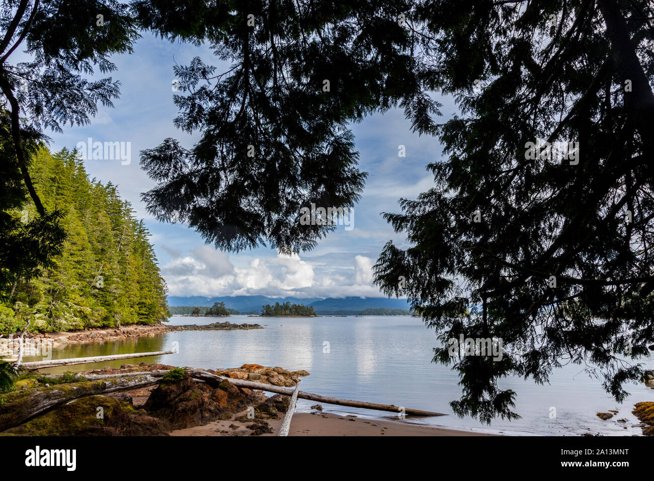 View of beach and ocean from Benson Island in the Broken Group in the ...