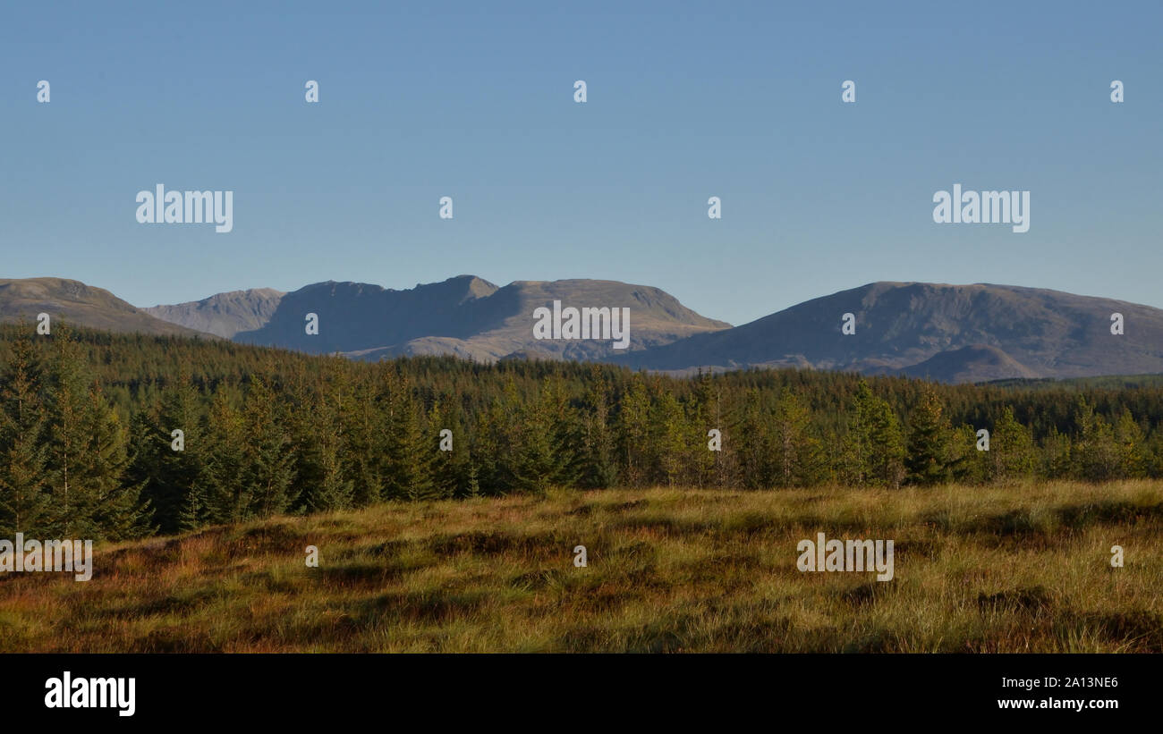 British forest hi-res stock photography and images - Alamy