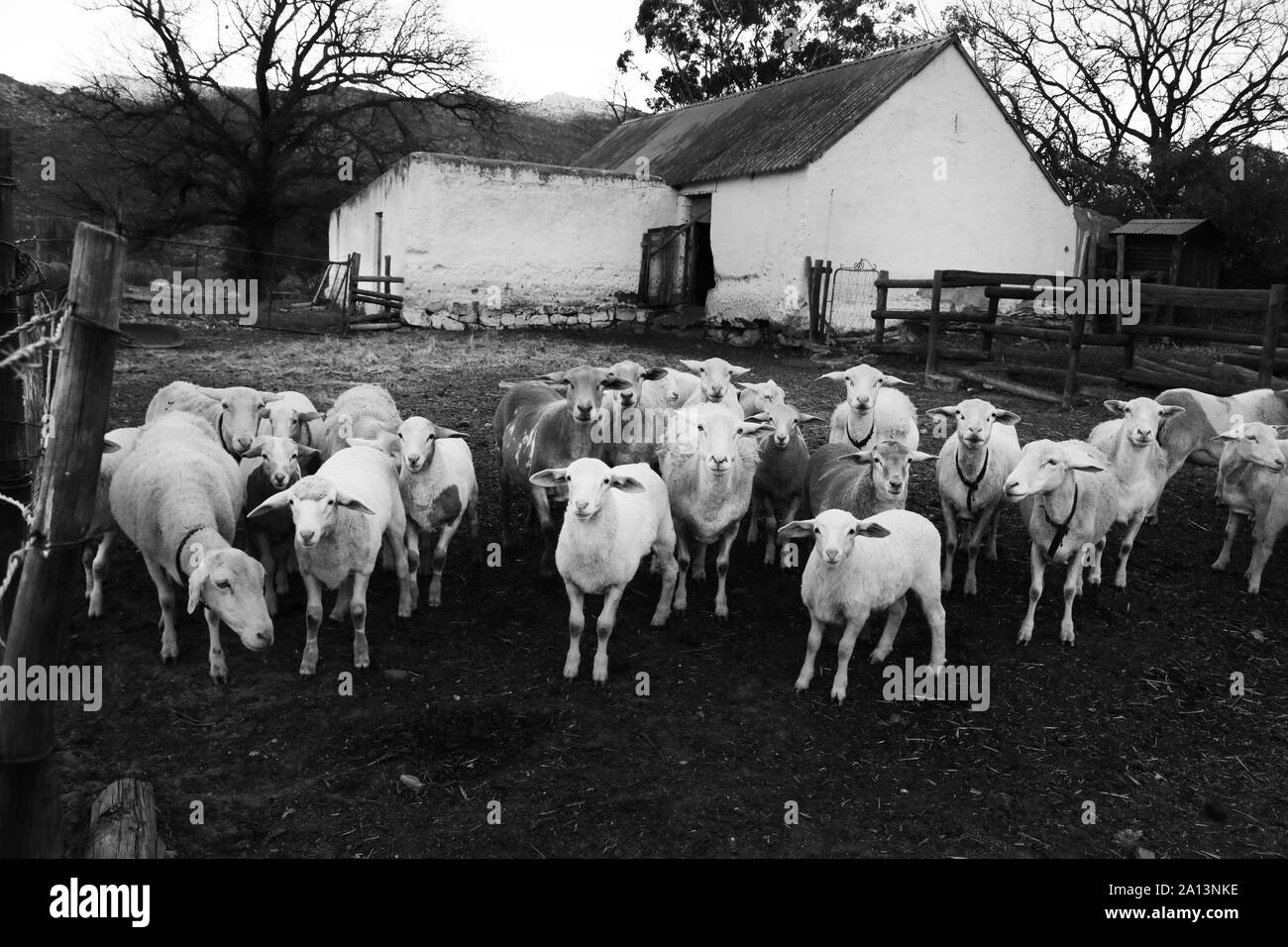 Farm aesthetic hi-res stock photography and images - Alamy